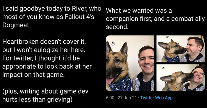 RIP River the Dog Who Played Dogmeat in Fallout 4 - Media Chomp